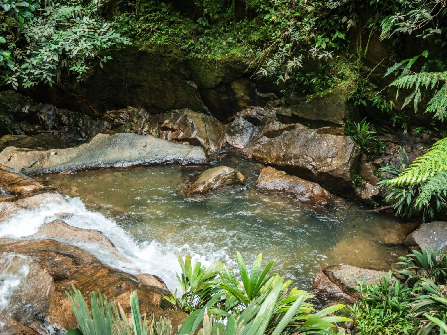 Aventura el Playón : Cascada y pozos – Almas Aventureras