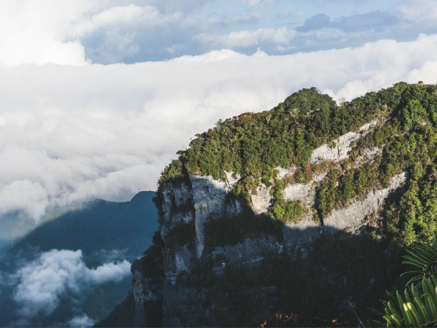Bosques de Pandora en El Peñón Santander – Almas Aventureras
