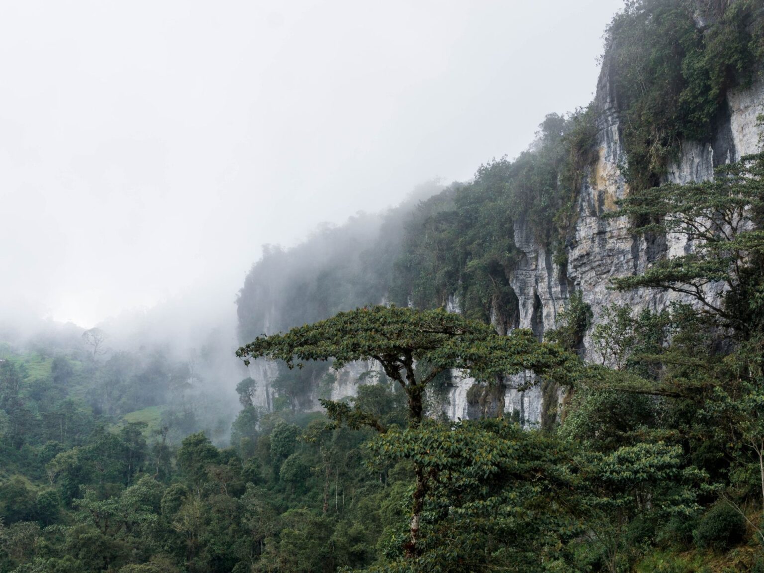 Bosques de Pandora/Peñón/Santander – Almas Aventureras