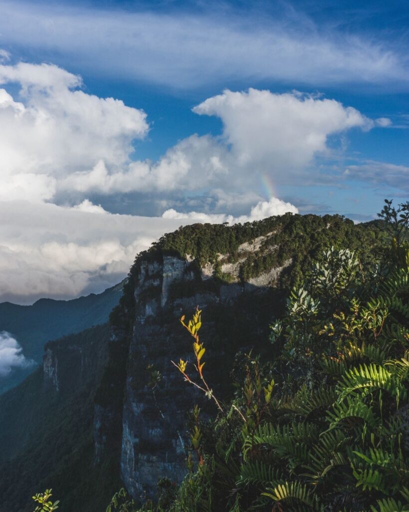 Bosques de Pandora/Peñón/Santander – Almas Aventureras