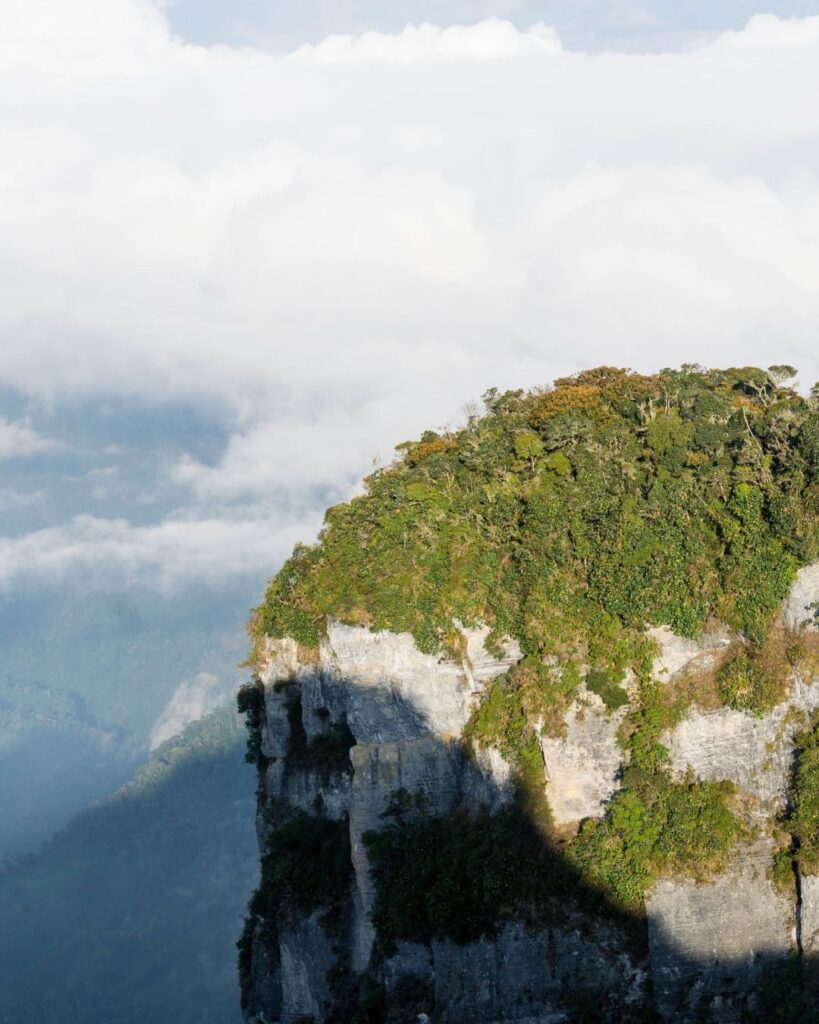 Bosques de Pandora/Peñón/Santander – Almas Aventureras
