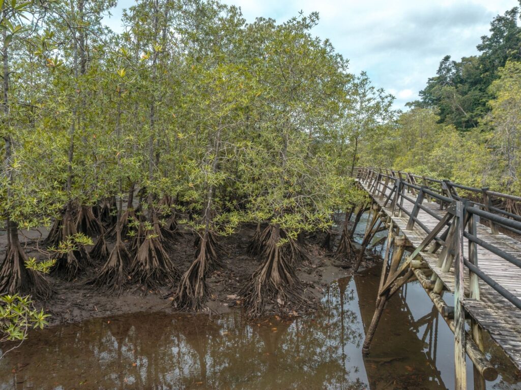 Nuquí – Chocó // PNN Utría // Joví // Termales en el Pacífico ...