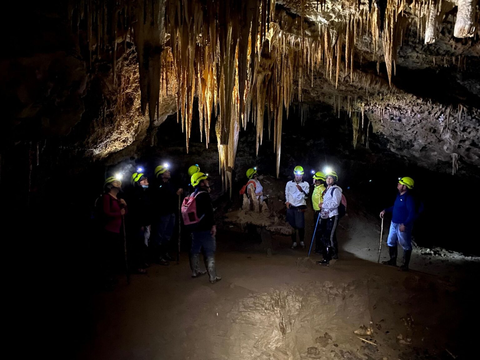 Bosques de Pandora en El Peñón Santander – Almas Aventureras