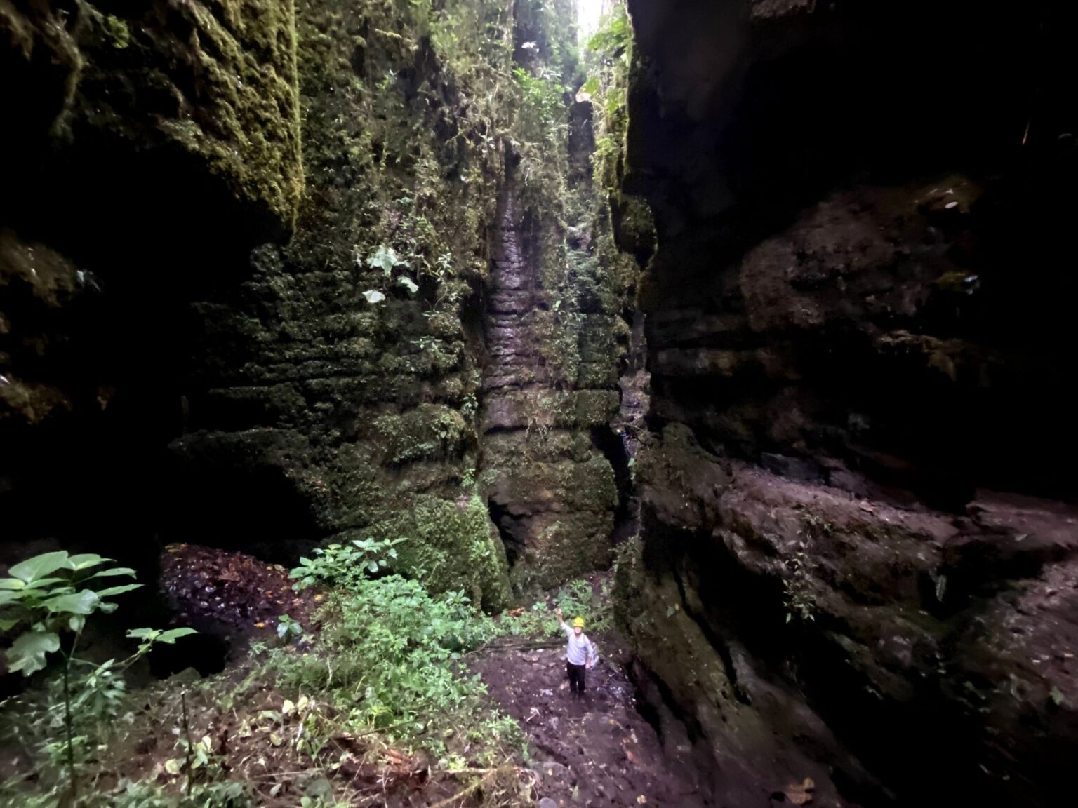 Bosques de Pandora en El Peñón Santander – Almas Aventureras