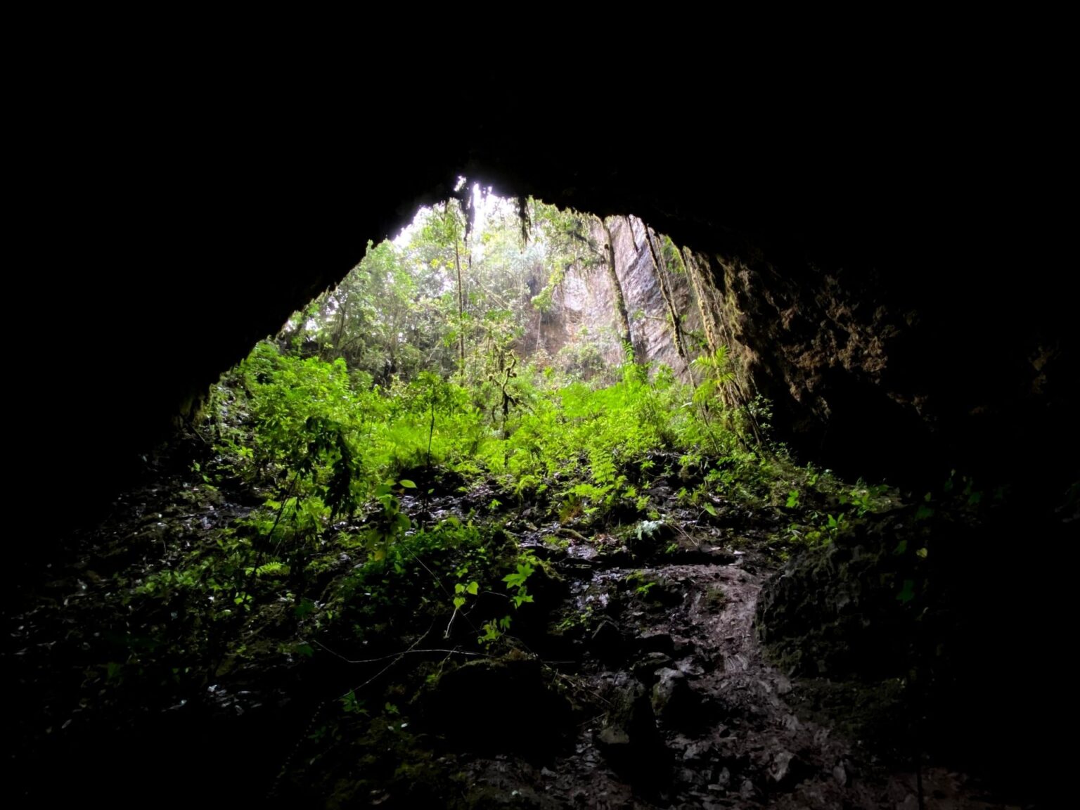Bosques Mágicos/Peñón/Santander – Almas Aventureras